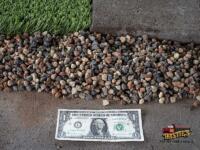 3/8″ DECORATIVE ROCKS - Hastie's Capitol Sand and Gravel - Rock ...
