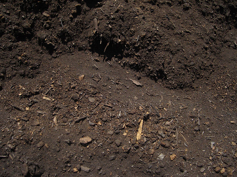 What Is Humus, And Why Is It Important?, 45% OFF