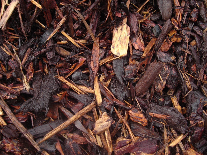 Hastie's Capitol Sand and Gravel - Hastie's Capitol Sand and Gravel ...